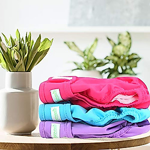 Wegreeco Washable Reusable Premium Dog Diapers, Medium, Bright Color, for Female Dog, Pack of 3