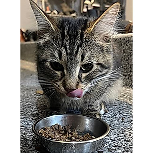 Bench & Field Holistic Natural Premium Adult Dry Cat Food, Chicken Meal and Brown Rice Recipe 3 lb Bags (Pack of 3)