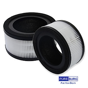 PUREBURG True HEPA Filter Compatible with InvisiClean IC-2010 Stella Air Purifier,H13 Replacement 4-Stage Filtration High-efficiency Activated carbon 2-IN-1 Air Clean Dust VOCs,2-Pack