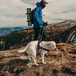 ULTECHNOVO Dog Harness Nylon Dog Vest pet Chest Harness pet Supplies