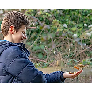 Hana Panda 100% Natural Dried mealworms High Protein Mealworms for Wild Birds, Chicken Treats, Fish & Reptiles,Hamsters and Hedgehogs All Natural Animal Feed