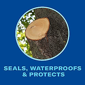 BioAdvanced 820045B Tree & Shrub Seal, Spray Can, 13oz Pressurized Pruning Sealer, 13 Ounce (Pack of 1), Blue