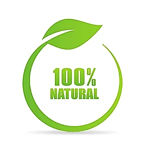 David's Garden Seeds Greens Asian Hon Tsai Tai FBA-9326 (Green) 200 Non-GMO, Heirloom Seeds