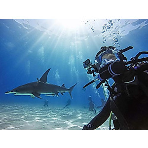 GoPro Protective Housing (HERO8 Black) - Official GoPro Accessory