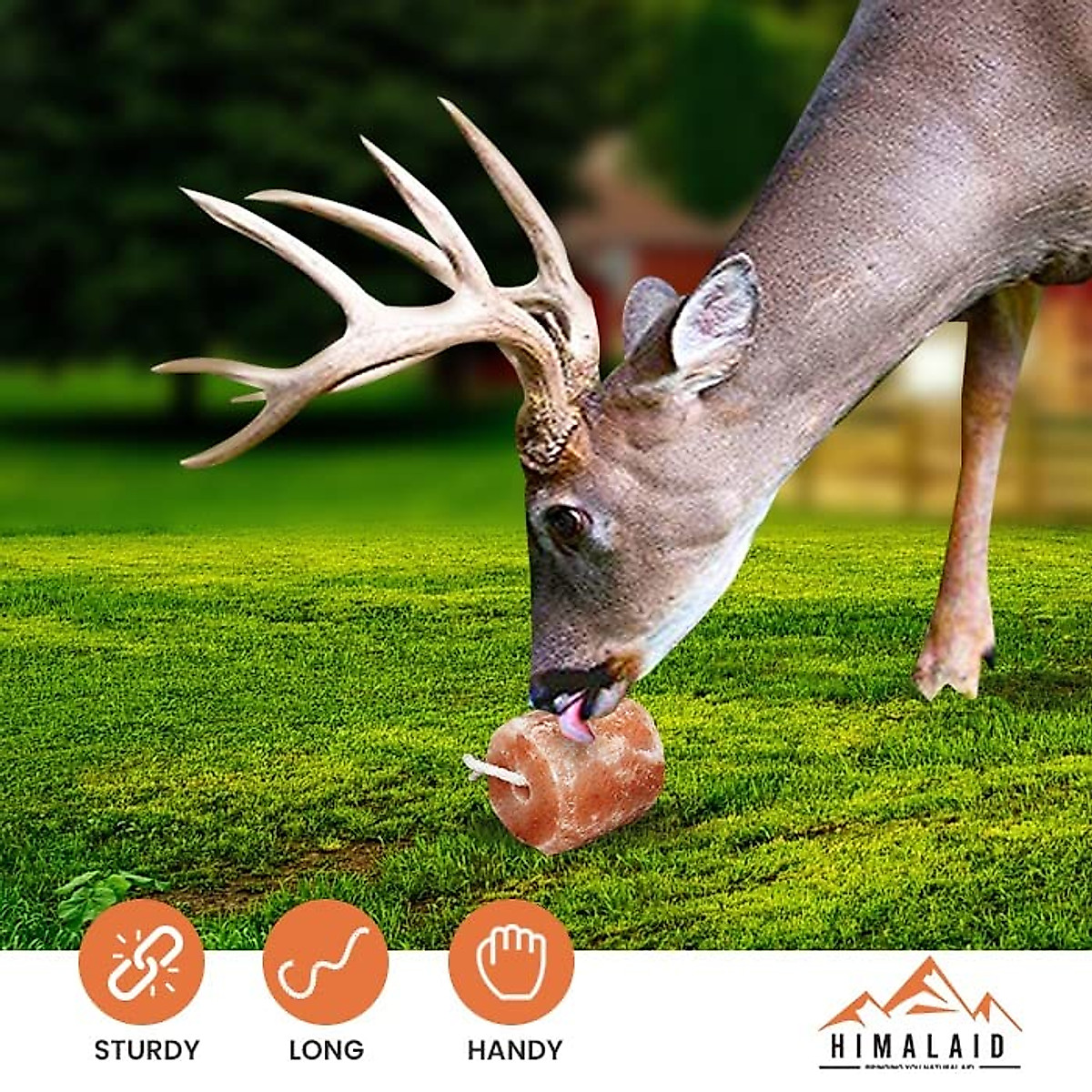 Himalaid Himalayan Salt Lick on Rope for Horses, Cattles, and Other Livestock, 6 LBS Each (3 Pack)