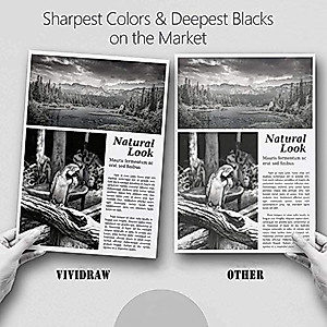 VIVIDRAW Compatible Ink Cartridge Replacement for HP 02 Work for HP PhotoSmart C6150 C6180 C7150 C7180 C7280 D7260 D7360 D7160 D7460 C8180 C6100 C5100 D7363 C5150 3110 3210 8250 8230 (3BLACK)