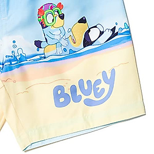 Bluey Mom Dad Bingo Toddler Boys Rash Guard and Swim Trunks Outfit Set Multi 2T