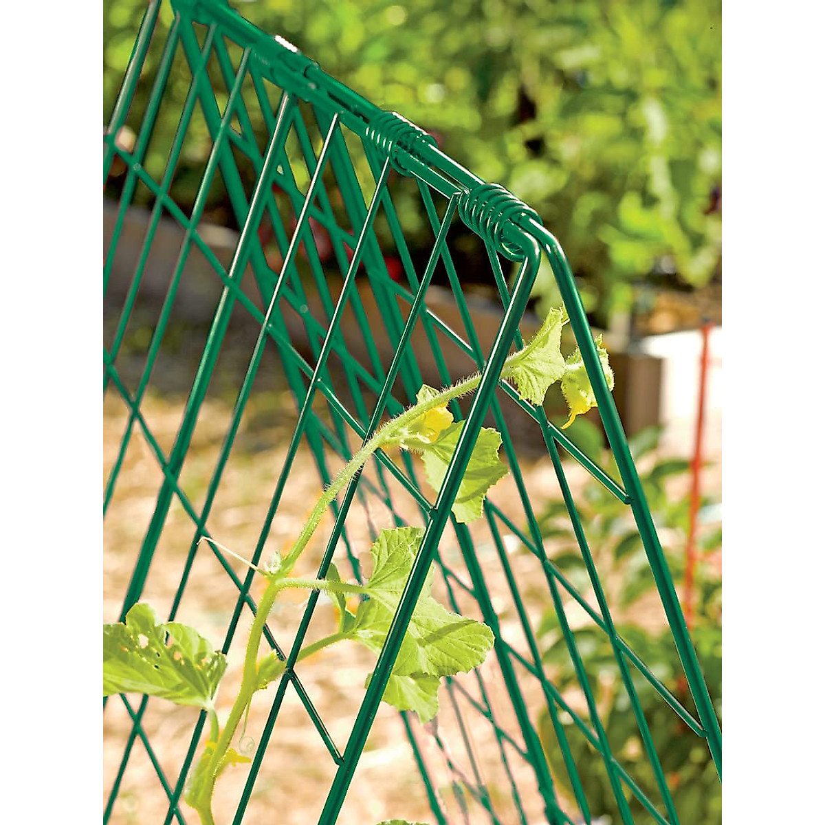 Gardener' s Supply Company Deluxe Cucumber Trellis | Outdoor A-Frame Trellis Plant Support for Vining Vegetables with 4" Grids for Easy Harvesting | 32" W x 46" H - Green