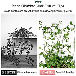 LUCKJUJU 100 Pcs Plant Climbing Wall Fixture Clips Self-Adhesive Hook Vines Traction Clips Invisible Holder Garden Green Leaf Simulation Self-Adhesive Hook Wire Fixing Supporting