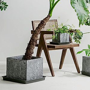 LWALRS Square Plant Saucer 6 8 10 12 14 16 18 20 Inch 5 Pack, Plastic Plant Saucers, Plant Water Dray Tray, Garden Planters for for Pots Base Indoors and Outdoors Plants（6 inch Black）