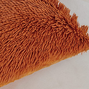 MIULEE Pack of 2 Luxury Faux Fur Throw Pillow Covers Deluxe Winter Decorative Plush Pillow Case Cushion Cover Shell for Sofa Bedroom Car 18x18 Inch Burnt Orange