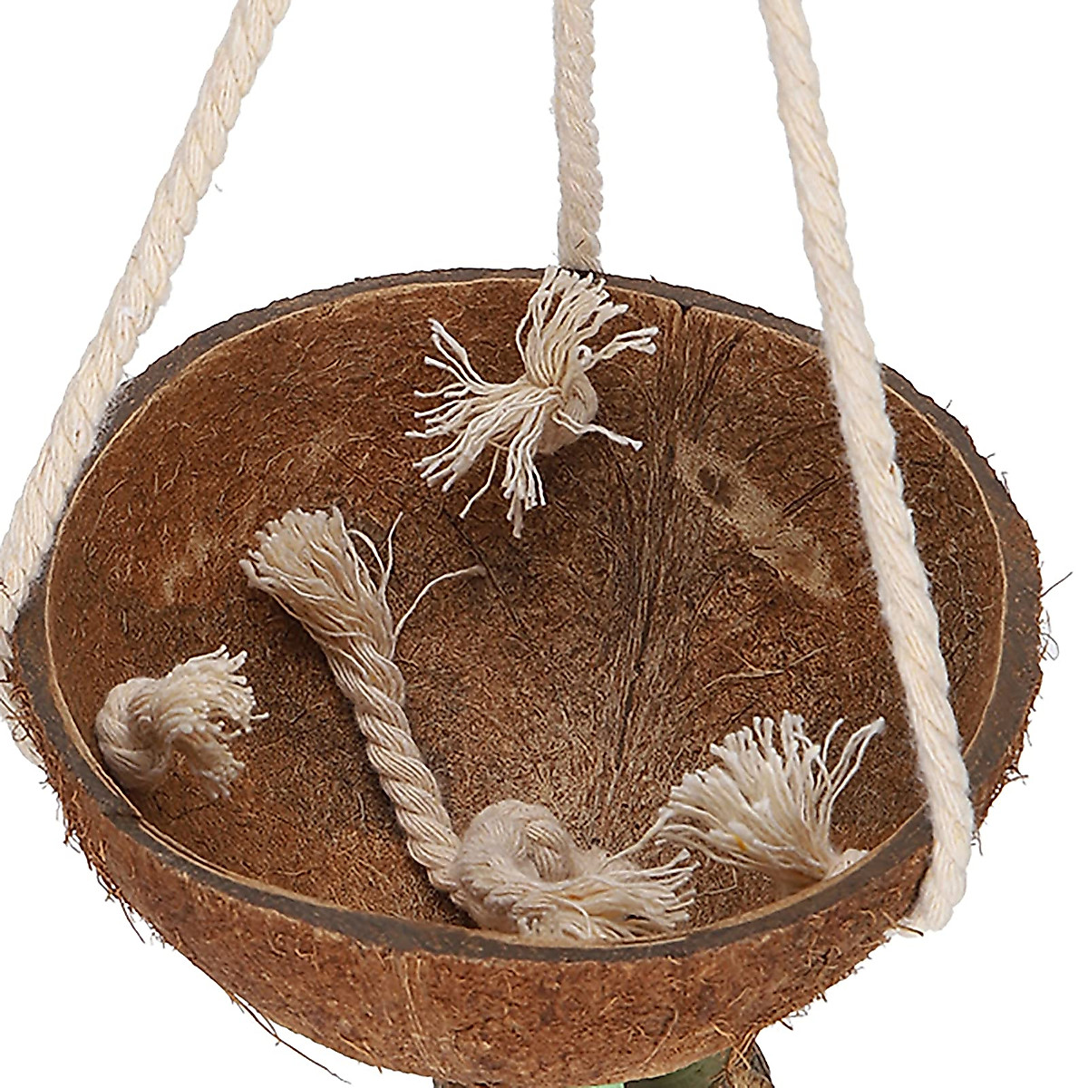 Syuanmuer Parrot Coconut Shell Swing, Hanging Bed Coconut, Bird Nest Shell Swing, Birdhouse Cage Swing Toys for Parrot Parakeet Lovebird Finch Canary.