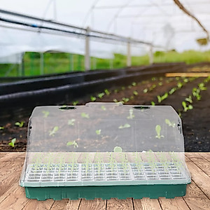 DEAYOU 2-Pack Seed Starter Tray with Humidity Dome and Base, 144 Cells Adjustable Seedling Starting Clone Tray, Garden Propagator Germination Kit with Plant Tags for Indoor Hydroponic Plants Growing