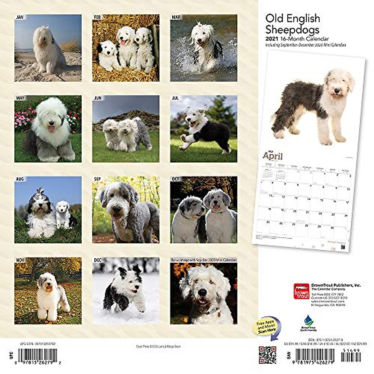 Old English Sheepdogs 2021 Calendar
