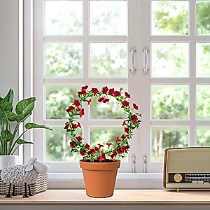 2 Pack Black Iron Garden Trellis for Climbing Plants- 13" Rust Free Vine Plant Metal Support Wire with Black Coating Decorative Potted Plants Climbing Holder Rack for Garden Stem Stalks Vines (Round)