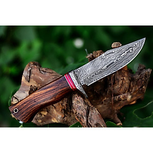 SHARD Hunting knife, Handmade Damascus Hunting Knife, Damascus Steel Hunting Knife with Sheath,Fixed blade Knife for Men,Full Tang Knife,Camping Knife, Skinning Knife,Survival Knife