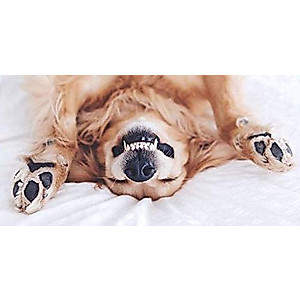 PET SUPPLEMENTS & NUTRITION LLC Dog Teeth Cleaning Treats - Dog Teeth Health Formula - Natural Gum Care - REMOVES Plaque Build UP - FRESHENS Breath - coq10 for Dogs chewable - 2 Bottles (120 Treats)