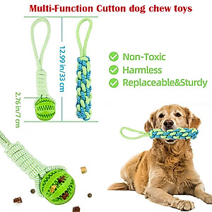 SLAUNT Dog Outdoor Bungee Tug Toy Spring Pole Dog Rope Toys Door Anchor Hanging Bungee Toy Interactive Tug Toy with 2 Chew Rope Toys for Small Medium Dogs for Exercise, Tug of War, Bite Training