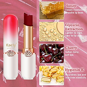 evpct 2Pcs Black Red Cherry Color Changing Magic Lipstick Tinted Lip Balm Gloss Stain Set PH Lazy Lipstick Waterproof Color Change Changing Jelly Lipstick labiales magicos mate 24 horas originales