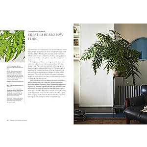 Terrain: The Houseplant Book: An Insider’s Guide to Cultivating and Collecting the Most Sought-After Specimens