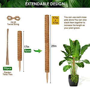 HongWay 77 Inch Moss Pole for Plant Monstera, 6 Pack 17 Inch Moss Plant Support, Monstera Support, Plant Climbing Pole, Moss Plant Stake