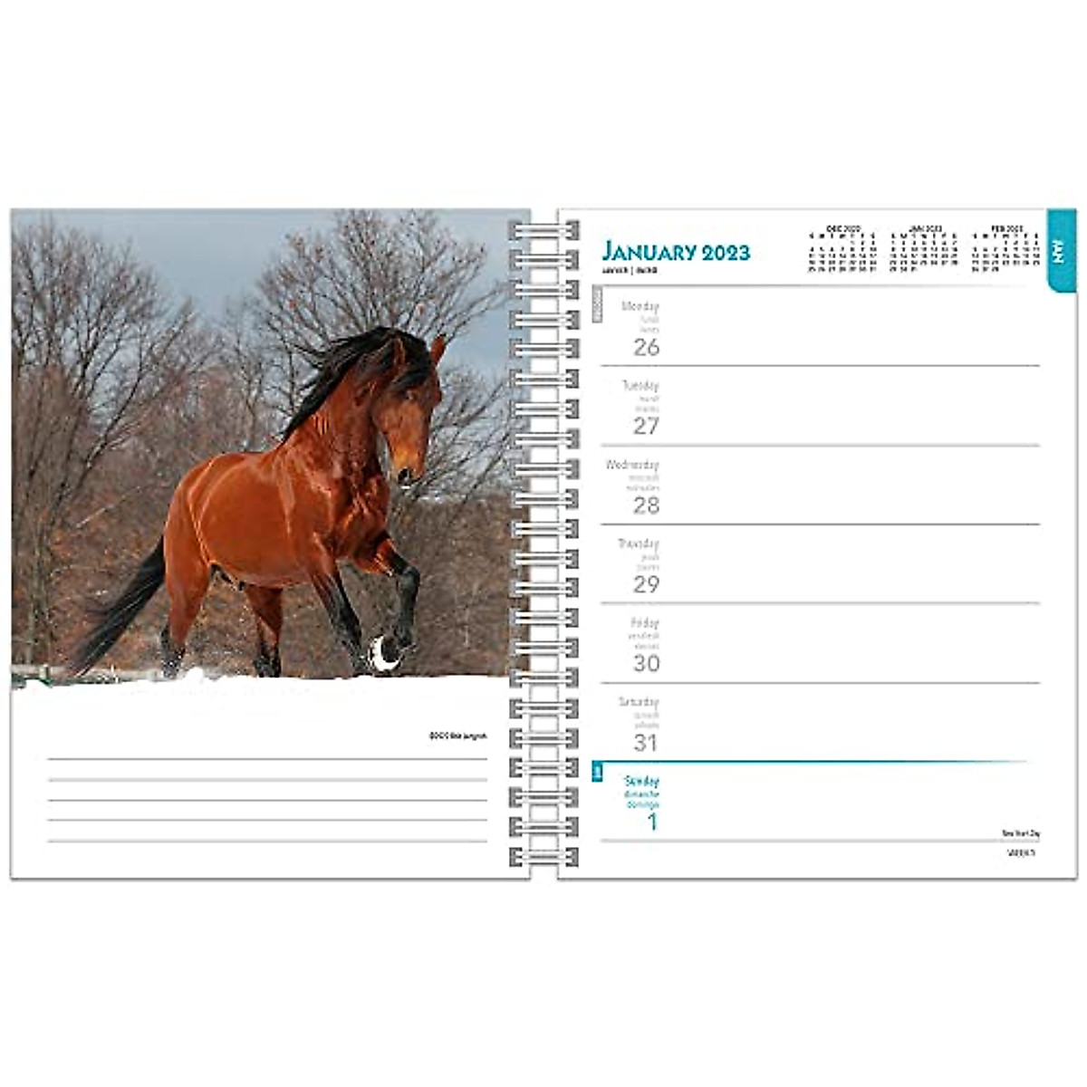 Horse Lovers | 2023 6 x 7.75 Inch Spiral-Bound Wire-O Weekly Engagement Planner Calendar | New Full-Color Image Every Week | BrownTrout | Animals Equestrian