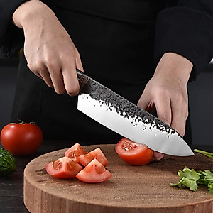 DRAGON RIOT Chef Knife 8 Inch Professional Kitchen Knives High Carbon Steel Japanese Chef's Knife Meat and Vegetable Cooking Knife for Home Restaurant