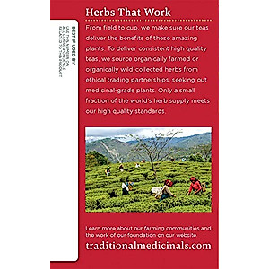 Traditional Medicinals Tea, Organic Echinacea Plus, Promotes Immune Function, w/ Spearmint, 96 Tea Bags (6 Pack)