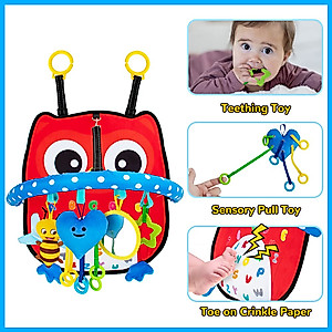 teytoy Baby Car Toys Rear Facing, Adjustable Car Seat Toys Double Sided Car Seat Toys for Babies 6-12 Months with Mirror, Teether, Sensory Pull String Toy and Squeakers, Baby Car Toys Travel Toys