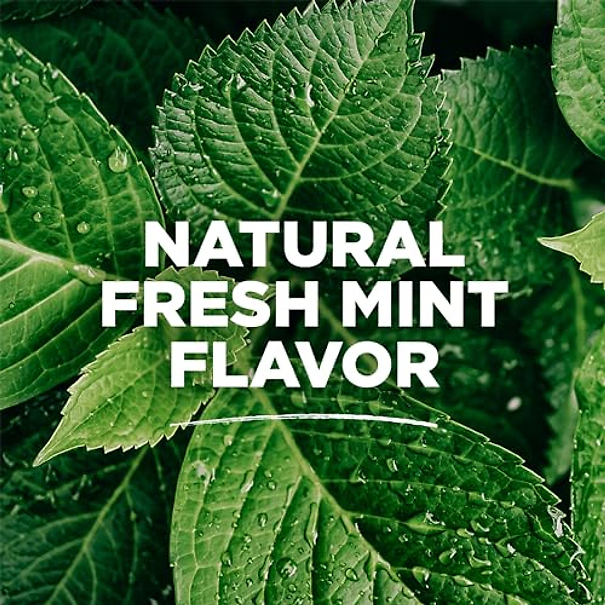 Tom's Of Maine Whole Care Natural Fluoride Mouthwash, Fresh Mint, 16 Oz (Pack of 3) (Packaging May Vary)