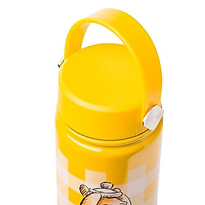 Silver Buffalo Disney Winnie the Pooh Stainless Steel Water Bottle with Swivel Handle Featuring Winnie the Pooh, 20 Ounces