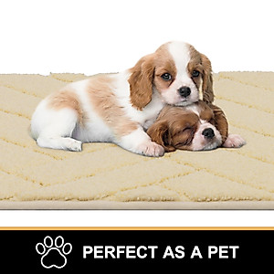 Tindbea Dog Mat for Muddy Paws,Absorbs Moisture Dirt Non-Slip Washable Mud Mat for Dogs,Soft Rubber Backing Front Inside Pet Rug for Entryway, Mud Dog Paws, Patio(24"x35", Blue)