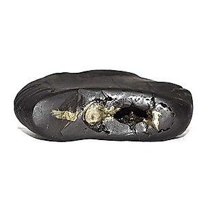 Rudrakshguru Krishna Shaligram/Madana Gopala Salagram - Gandaki River Nepal