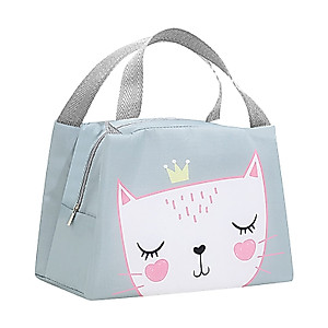 Saterkali Lunch Bag High Capacity Handbag Wear-resistant Women Men Thermal Cooler Bento Tote for Office Grey