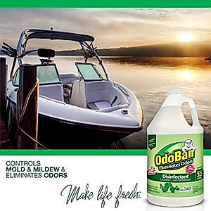 OdoBan Disinfectant Concentrate and Odor Eliminator, 4 Gallons, Original Eucalyptus Scent