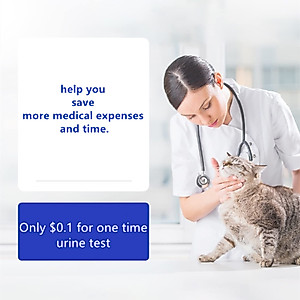 PETOGETHER Occult Blood Detect Cat Litter Cat Urine Test Cat Health Indicator 60gram