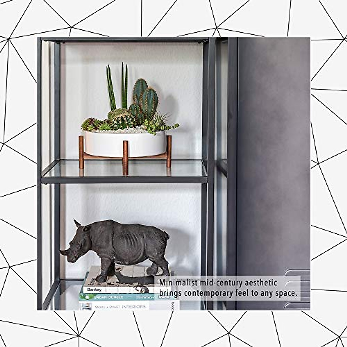 kimisty 10 Inch Succulent Planter, Large Round Bowl with Drainage, Mid Century White Ceramic Pot with Wood Stand, Succulent Garden Shallow Pot, Tabletop Centrepiece, Includes Gift Pack