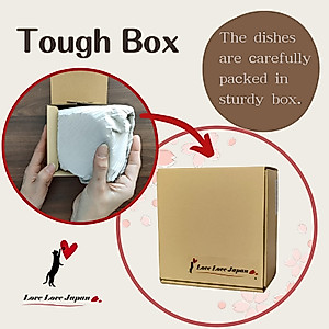 LOVE LOVE JAPAN Japanese Cat Design Ceramic Small Plates - Set of 4 - Great for Sushi, Dips, & Desserts, Cat Quintet