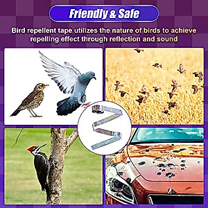 12 Rolls 262 ft Bird Scare Tape Dual Sided Ribbon Flash Bird Scare Ribbon Devices Anti Bird Outdoor Devices to Keep Away Pigeon Woodpeckers Herons Blackbirds