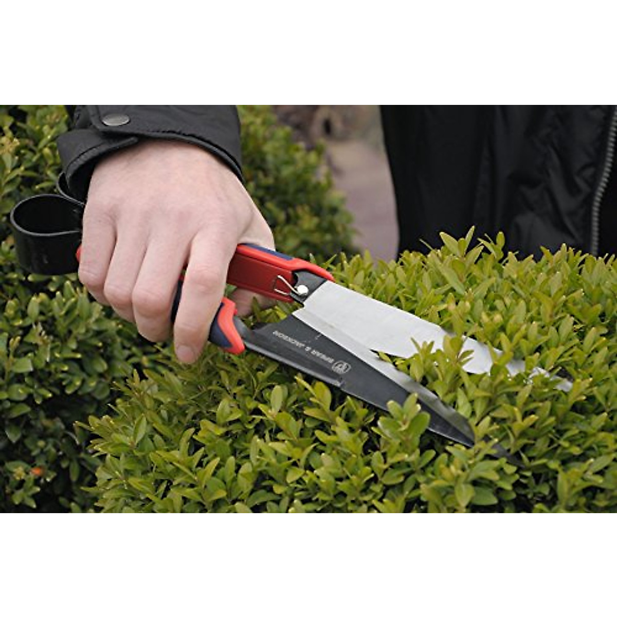 Spear & Jackson 4855TS Razorsharp Topiary Shears, Red, Blue & Silver