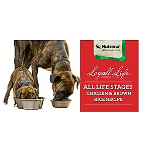 Nutrena Loyall Life All Life Stages Chicken and Rice Dog Food (40 Pounds), 1 Count (Pack of 1)