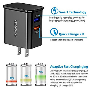 Adaptive Fast Charging USB Wall Charger Adapter 25W Dual Port with 2Pack 4ft USB Type C Cable for Samsung Galaxy S10 / S10+ / S10e / S9 / S8, Other USB-C Devices