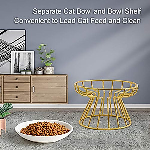 Cat Bowl-Raised Cat Food Bowl,Elevated Cat Feeder Bowl Stand, Food & Water Anti Vomiting Shallow Ceramic Cat Dish, with Non-Slip Mat Pet Bowl for All Cat1