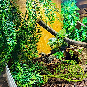 Grddaef Reptile Vines Plants for Terrarium, Flexible Vines Jungle Climbing Branch with Leaves Tank Decor for Snakes Bearded Dragons Geckos Hermit Crabs Lizards Chameleons