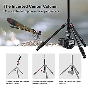SmallRig 78" Camera Tripod, Foldable Aluminum Tripod & Monopod, 360°Ball Head Detachable and Quick Release Plate, Payload 33lb, Adjustable Height from 18.5" to 78" for Camera, Phone - 3474