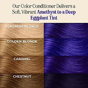 INH Semi Permanent Hair Color | Color Depositing Conditioner | Amethyst Dark Purple Hair Dye | No Bleach No Peroxide Temporary Tint for Women, Men | Vegan, Ammonia Free, Sulfate Free, Ready to Use 6oz