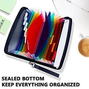 Nicecho Receipt Coupon Organizer, 13 Pockets Small Accordion File Organizer with Rainbow Labels, Small File Folder for Cards Bill Business Document, Zipper Closure, 11 * 6.8 Inches (Black) …