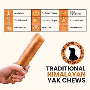 The safest All-Natural Cheese Chews - Large (Pack of 4) - NO Chunks, NO preservatives, NO Bad Smell, Great Teeth Cleaner, Super Long-Lasting