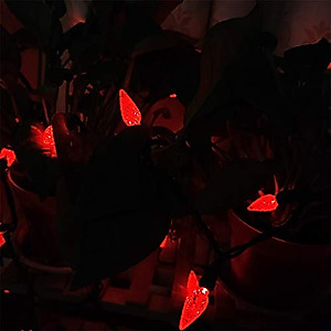 UL Listed 50 Count C6 Led Christmas Lights,C6 Strawberry Lights Bulbs,Outdoor Led String Lights for Garden Patio Trees Decoration,17 Feet Green Wire (Red Color)