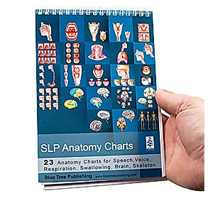 SLP Anatomy Flip Book Speech Language Pathology